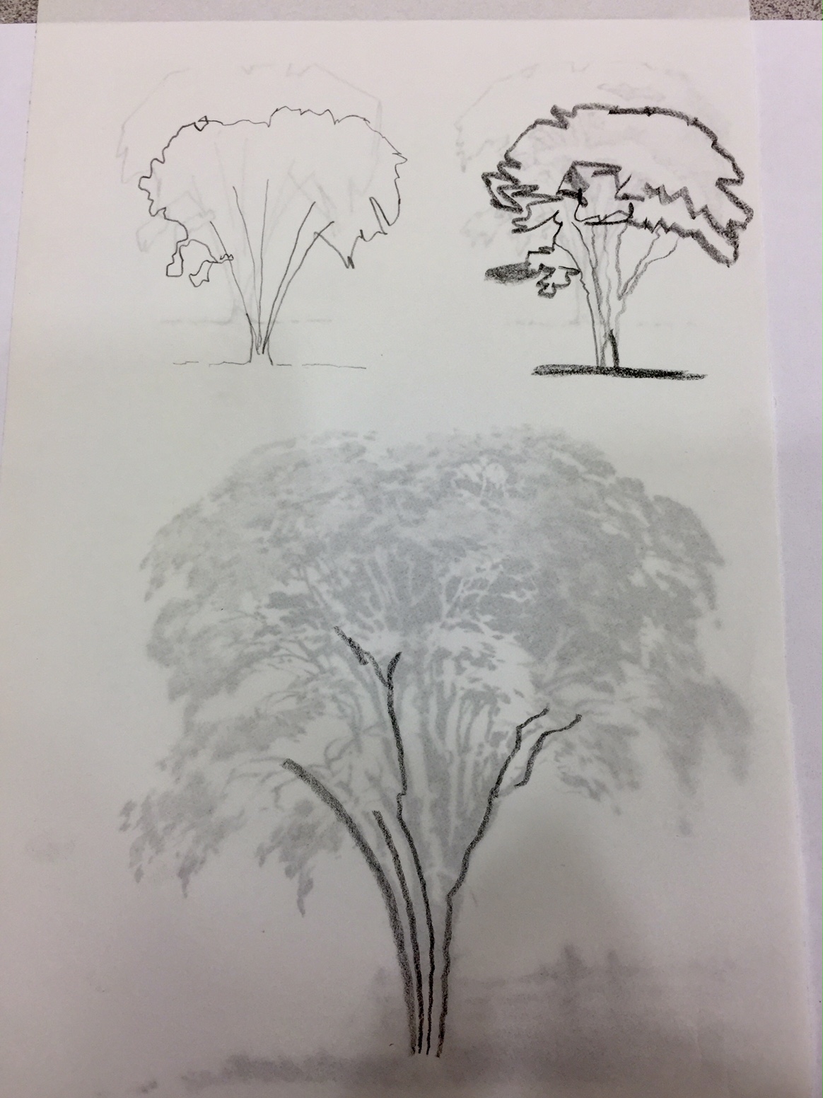 April 2018 – San Antonio Calligraphers' Guild
